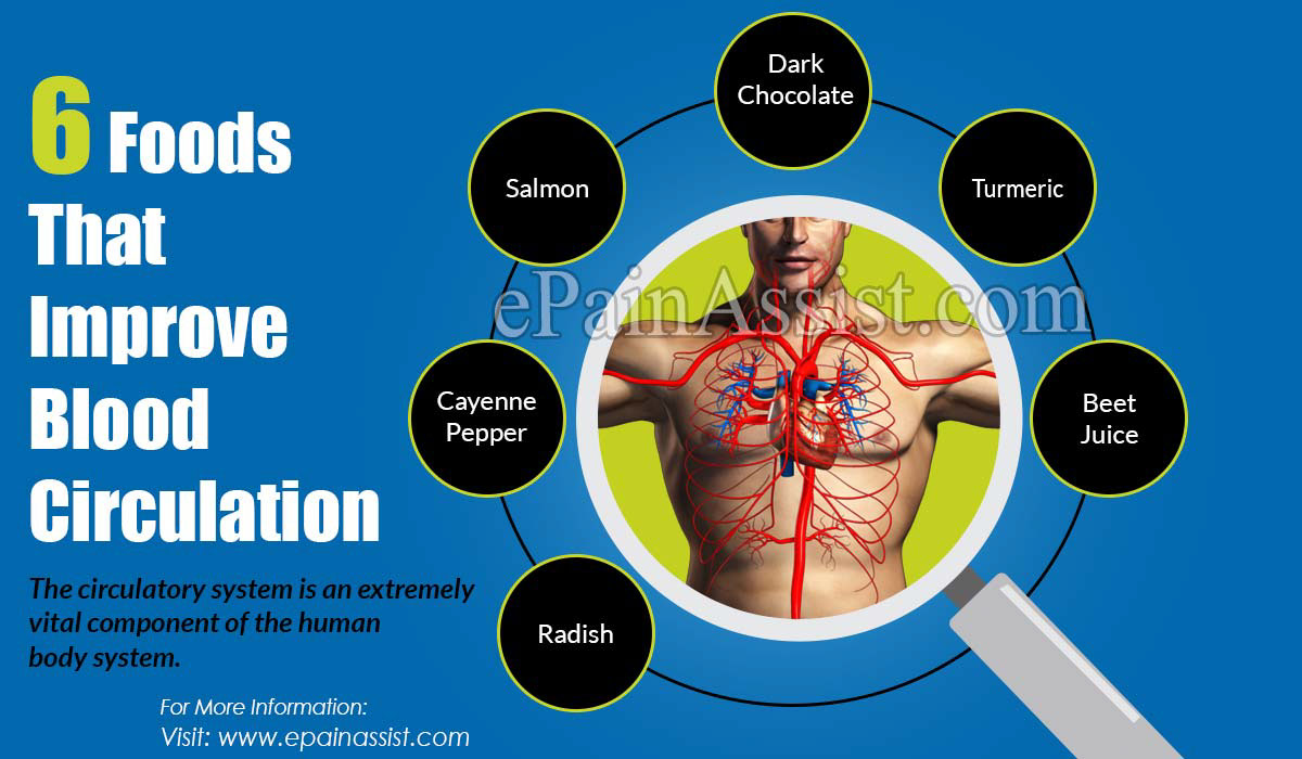 6 Foods That Improve Blood Circulation 6 Foods That Improve Blood Circulation