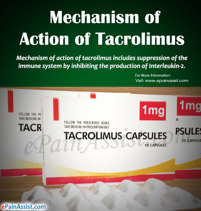 Mechanism of Action of Tacrolimus, Its Uses, Contraindications, Side ...