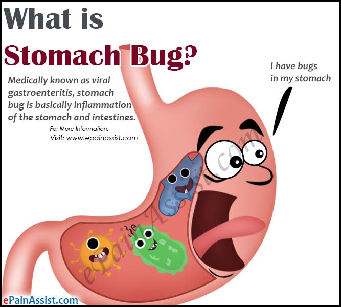 What Is A Stomach Bug How Long Does It Last 