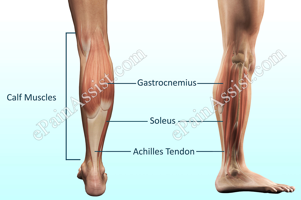 10 Moments To Remember From Muscle Cramps Left Calf Muscle Cramps 10 Moments To Remember From Muscle Cramps Left Calf Muscle Cramps