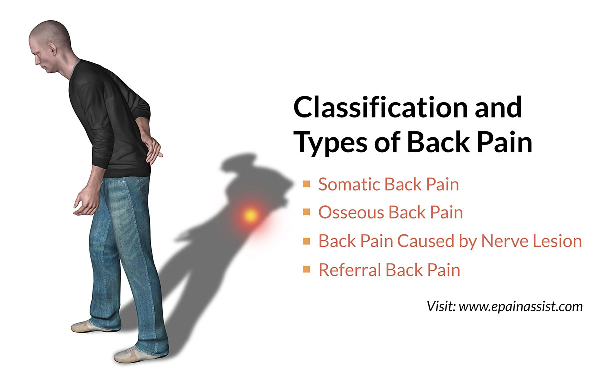 Classification And Types Of Back Pain Or Backache Somatic Osseous