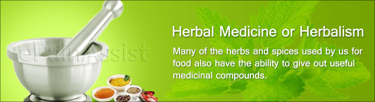 Herbal Medicine or Herbalism|It Uses Medicinal Abilities of Plants ...