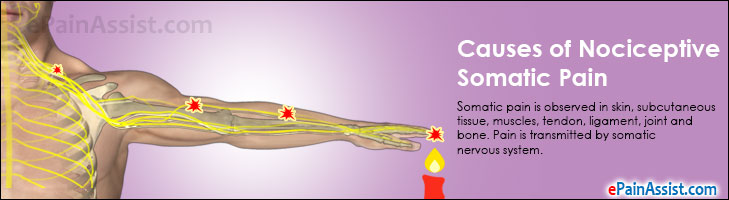 Causes of Nociceptive Somatic Pain | Traumatic Injuries | Blunt Trauma ...