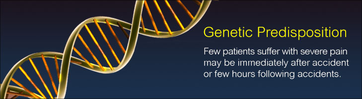 Automobile Accident: Does Genetic Predisposition Cause Severe ...